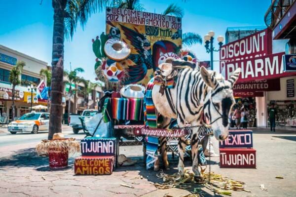 Cómo llegar a Tijuana: Todas las opciones de viaje